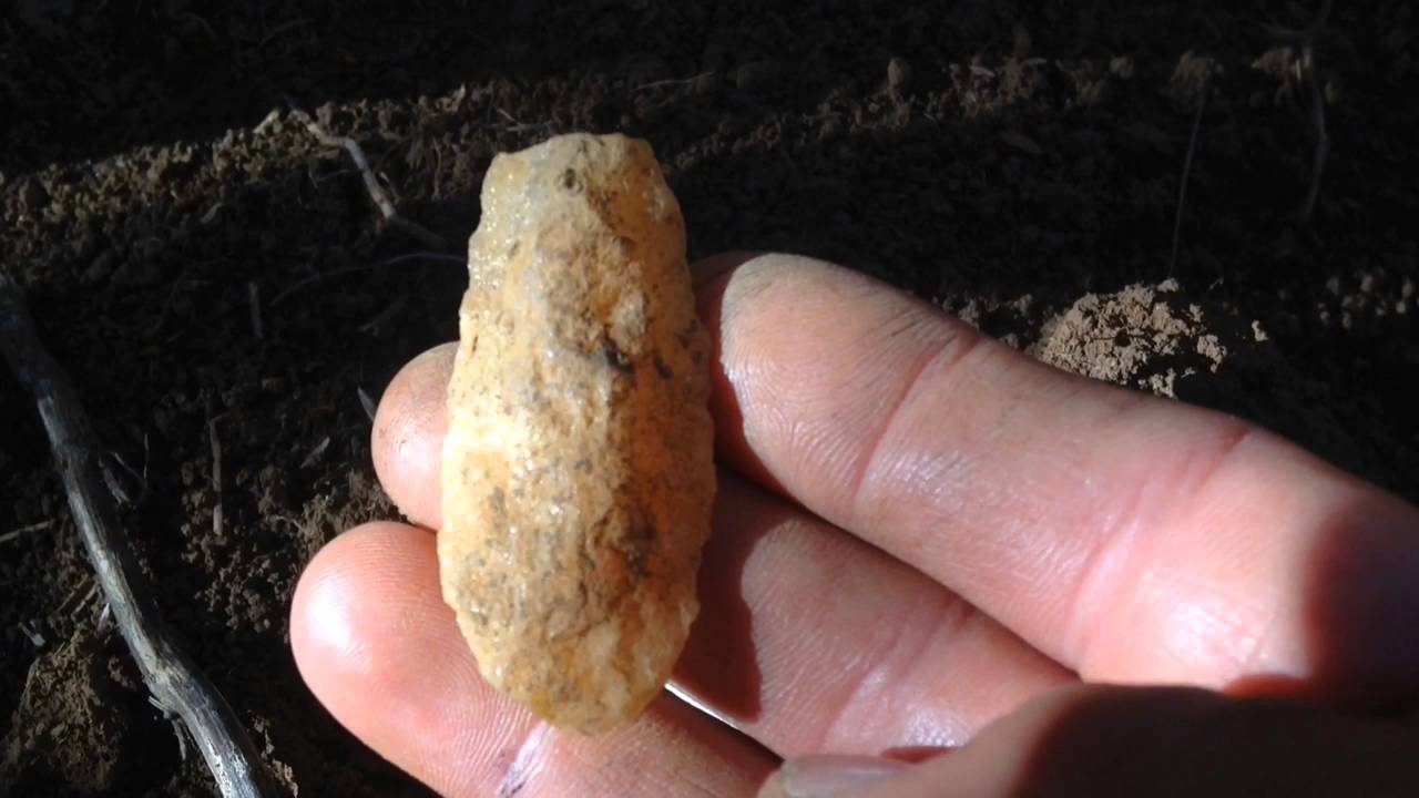 Hunting Arrowheads in the Cornfield - YouTube