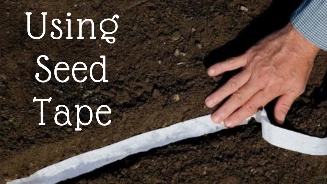 Make & Use Seed Tape // Garden Tutorial - YouTube