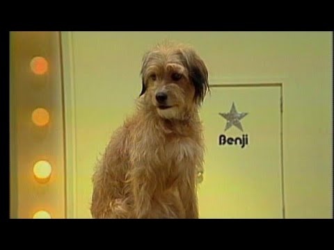 Benji le phénomène - YouTube