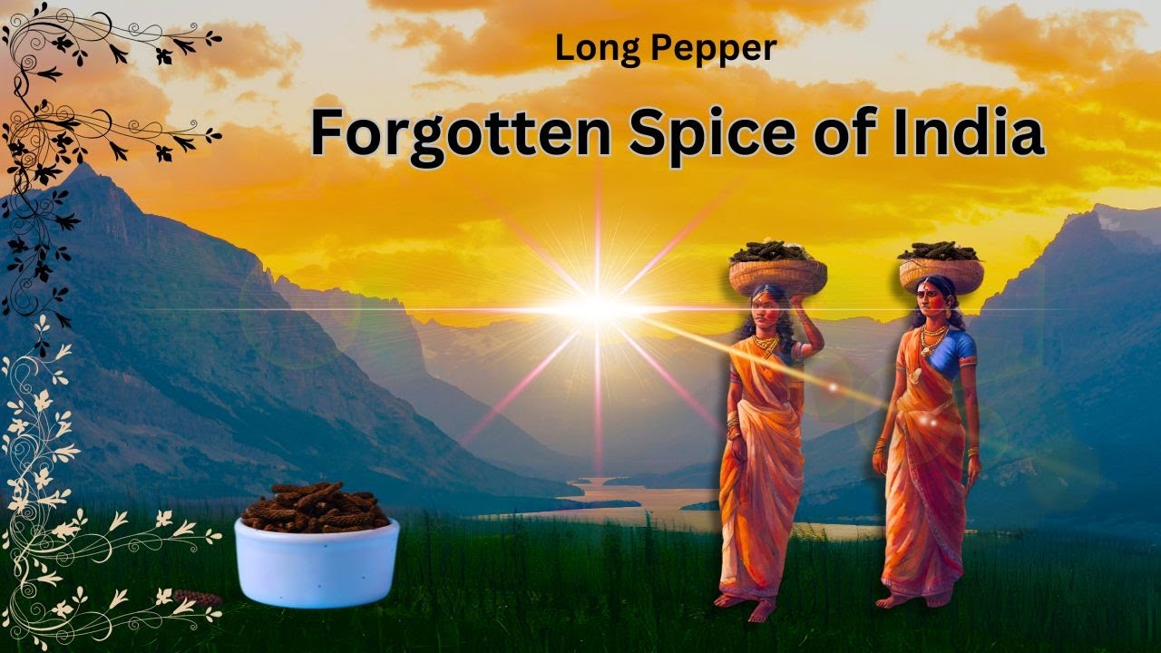 The Lost History of Long Pepper: A Spice Forgotten by Time - YouTube