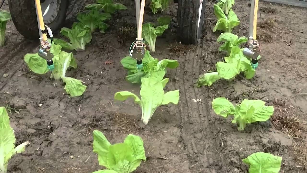 Equipment for target spray based on real time image processing and ...