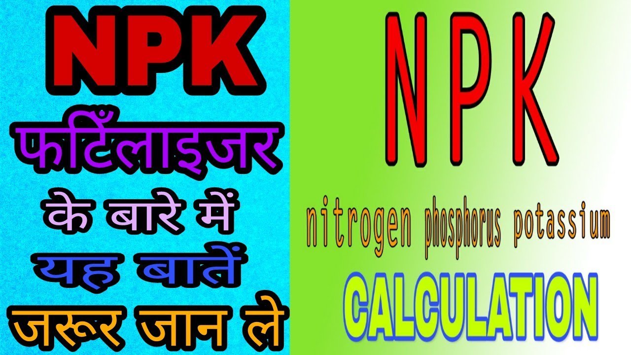 NPK Fertilizer||कि यह बातें जरूर जान लें||NPK FERTILIZER CALCULATION ...