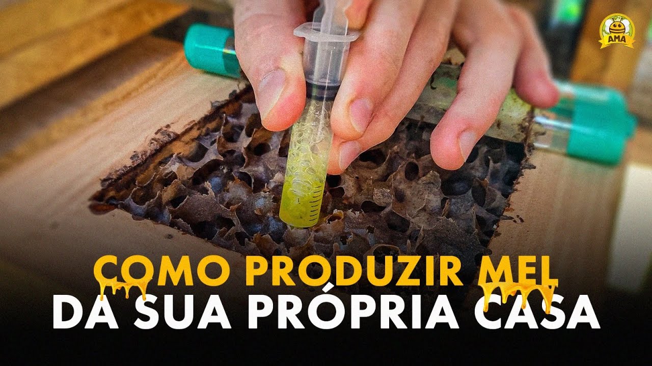 Como PRODUZIR e COLETAR MEL da sua própria CASA! 🐝🍯 - YouTube