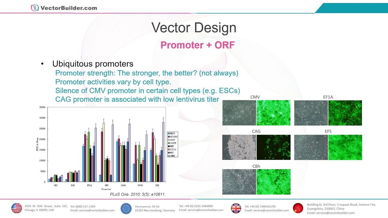 VectorBuilder | From Design to Therapy : Streamline Your Research with ...