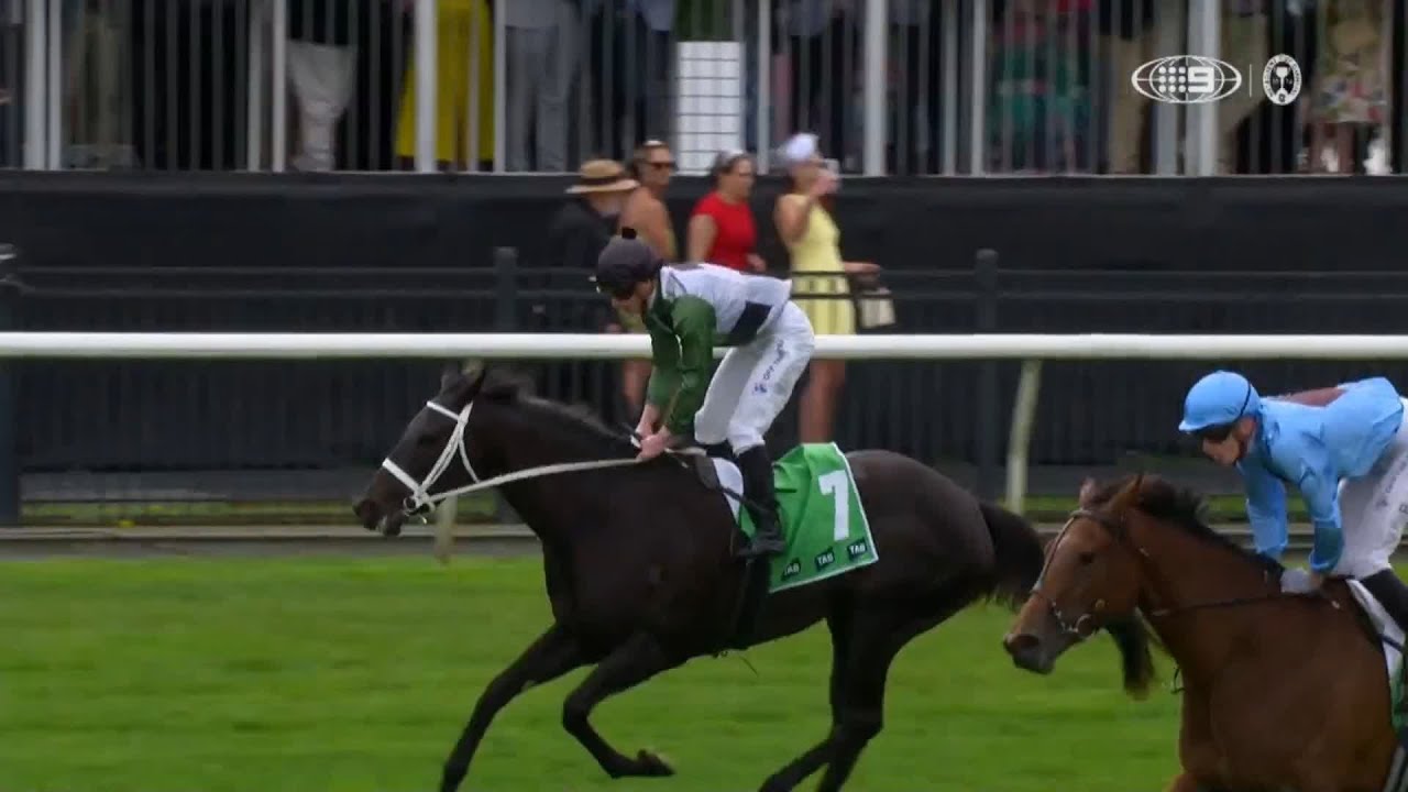 Hinged – TAB Matriarch Stakes – TAB Champions Stakes Day, Race 5 - YouTube