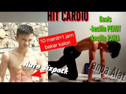 CARDIO 10 menit tanpa alat|PEMULA!( bakar lemak perut dan kaki)