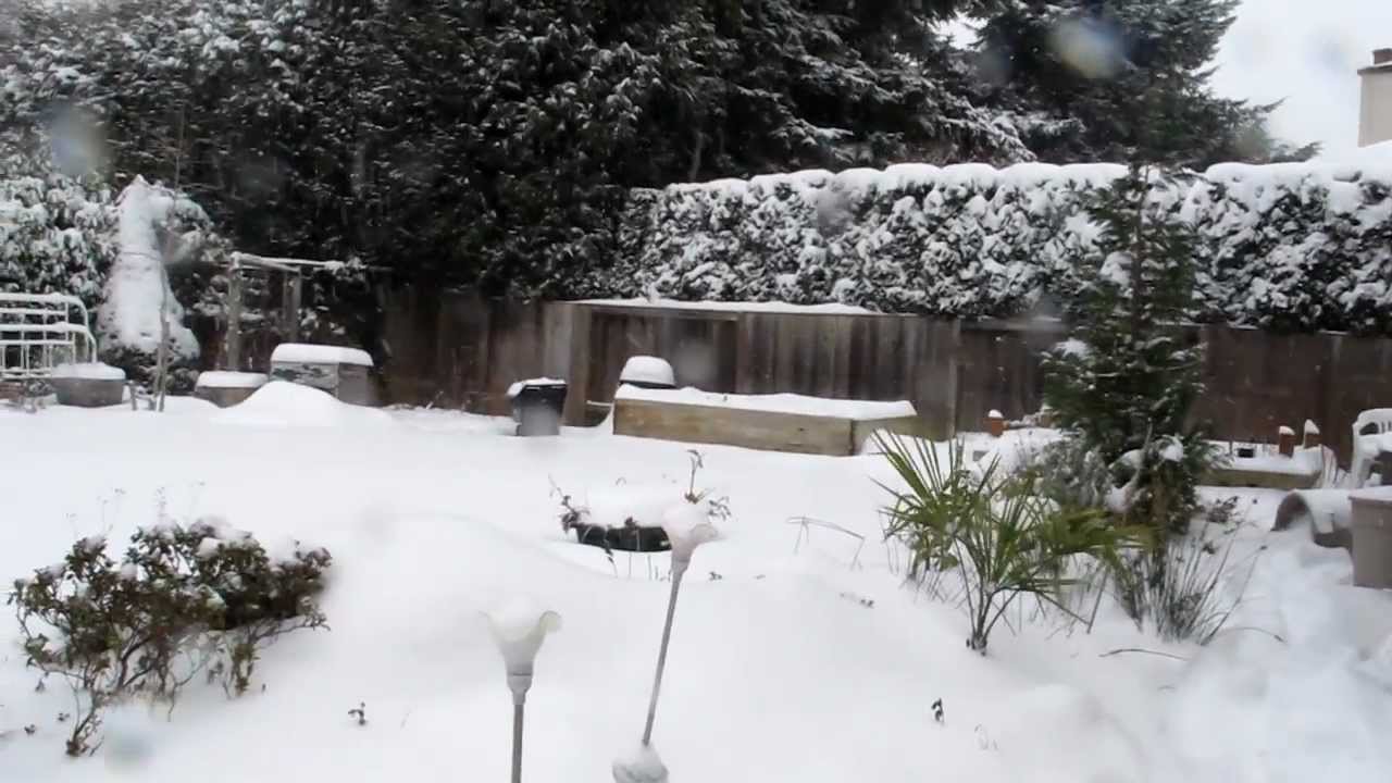 Snowy and cold in Victoria BC - YouTube