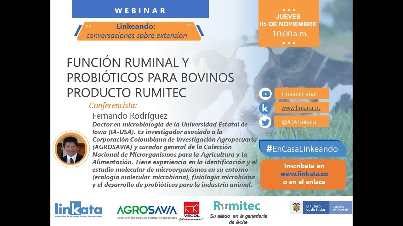 Conferencia | Bovinos: función ruminal y probióticos, producto RUMITEC ...