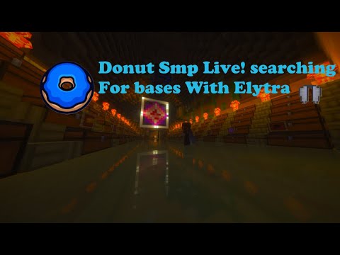 Rating bases 1 skellys per base. donutsmp live - YouTube