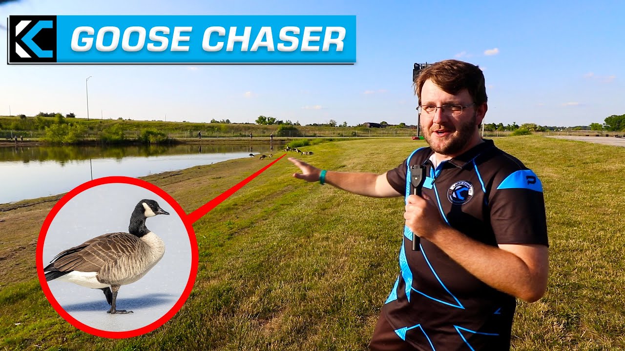 David Land Interviews The New Castle Geese - YouTube