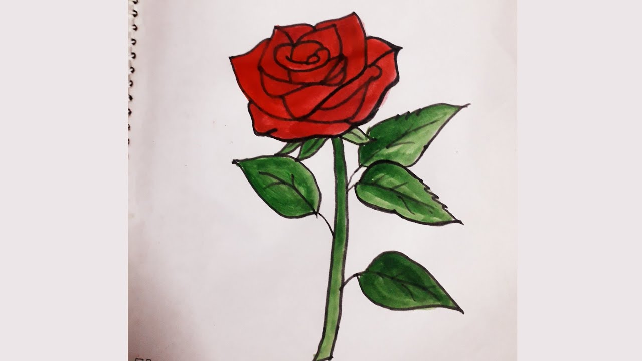 How to draw a rose// easy rose flower drawing tutorial // #drawing #art ...