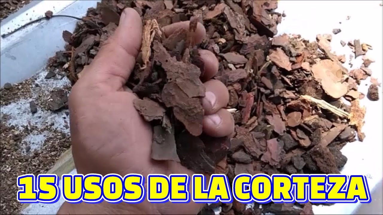 15 USOS DE LA CORTEZA Y POLVILLO. - YouTube