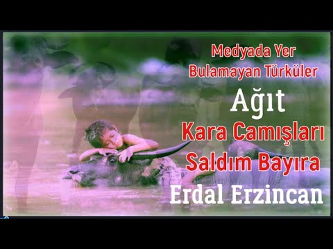KARA CAMIŞLARI SALDIM BAYIRA/ ERDAL ERZİNCAN KİMDİR? MEDYADA YER BULAMAYAN TÜRKÜLER/ 396. BÖLÜM