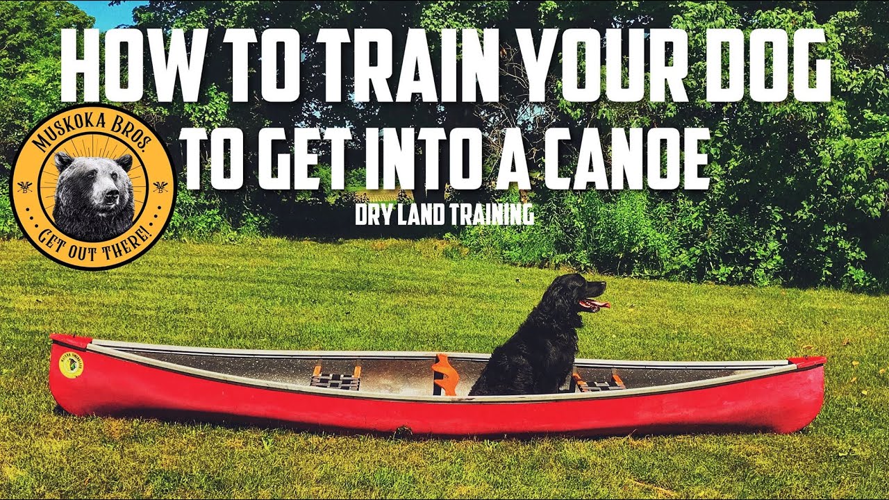 How to Train Your Dog to Get Into a Canoe Muskoka Bros. - YouTube