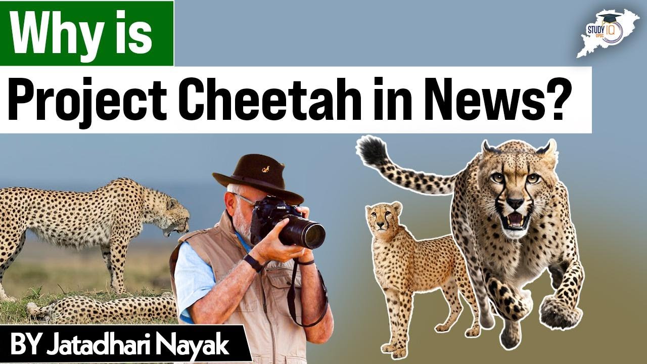 “Why Project Cheetah is Making Headlines in 2025 🐆 | Complete Analysis ...