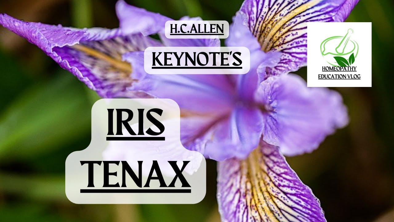 IRIS TENAX |Homeopathic Materia Medica |By "KEYNOTE'S" |BHMS # ...