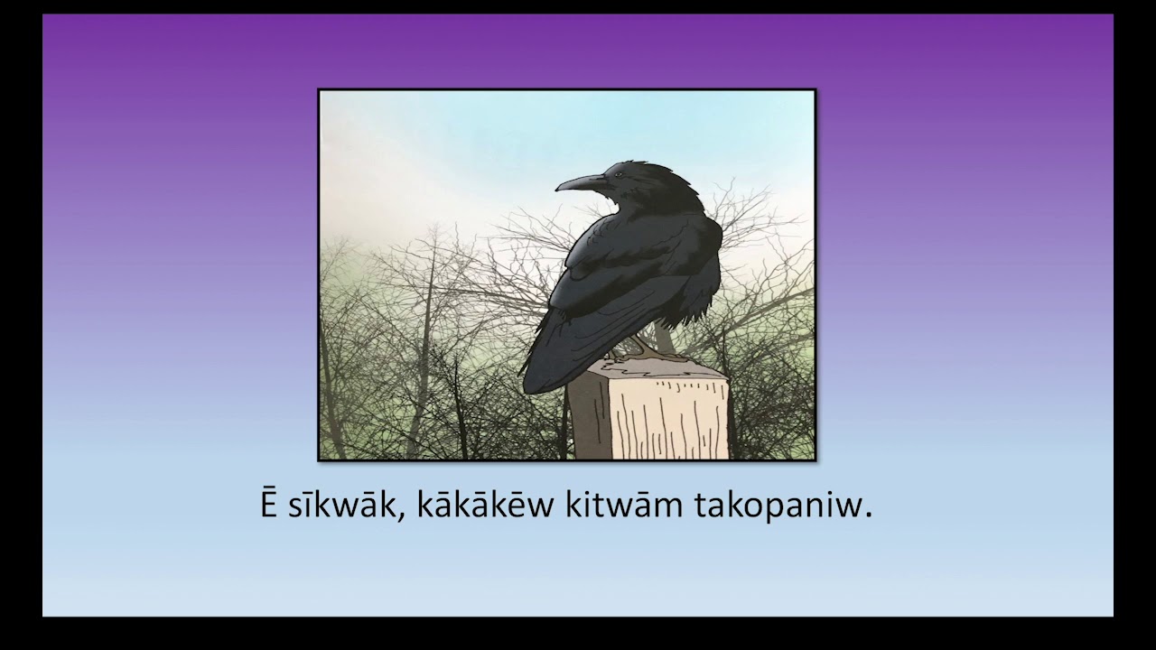 Signs of Spring in Cree - YouTube