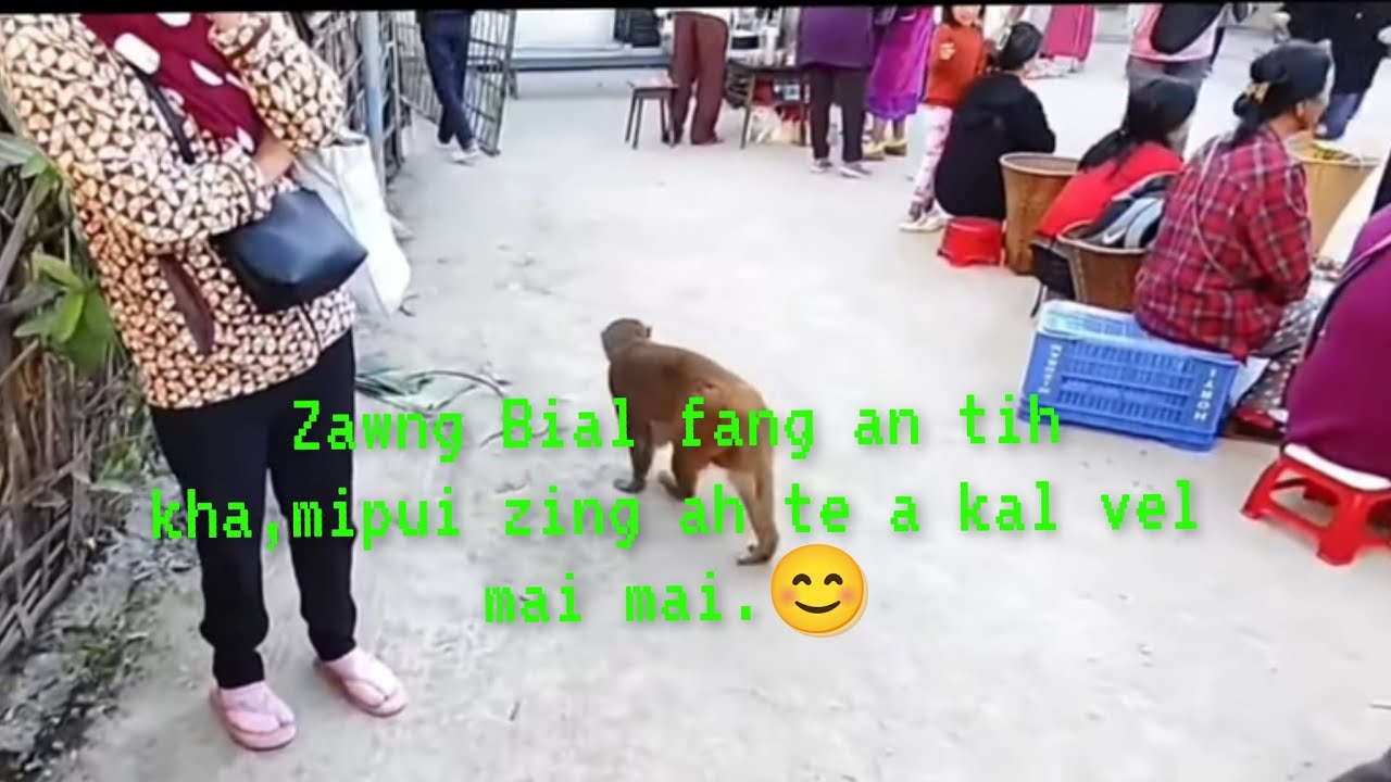 Zawng bial fang thin kha.Mipui zing ah a tei vel mai mai.tuman lo ti na ...