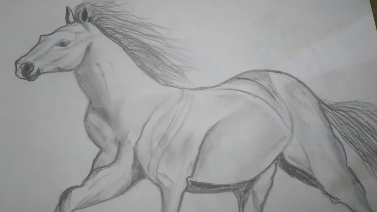 Hourse drawing🐴🐴🐎🐎🐎🐎 - YouTube