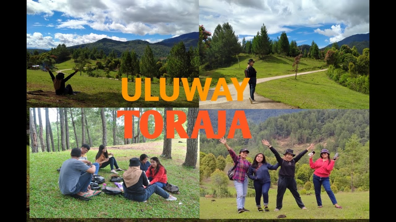 Pesona Bukit Sapi, Uluwai Toraja - YouTube