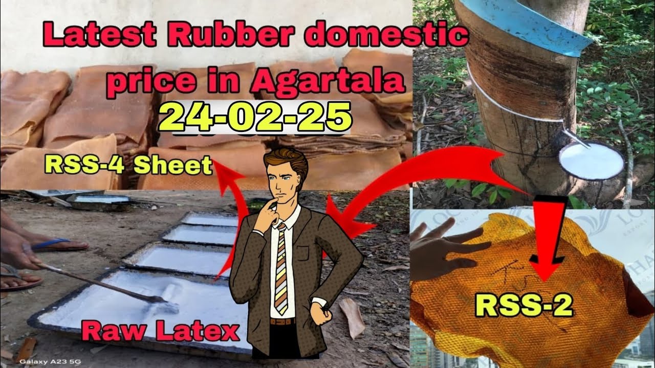 Latest Rubber Domestic price rate of Agartala.as on date 24-02-25 - YouTube