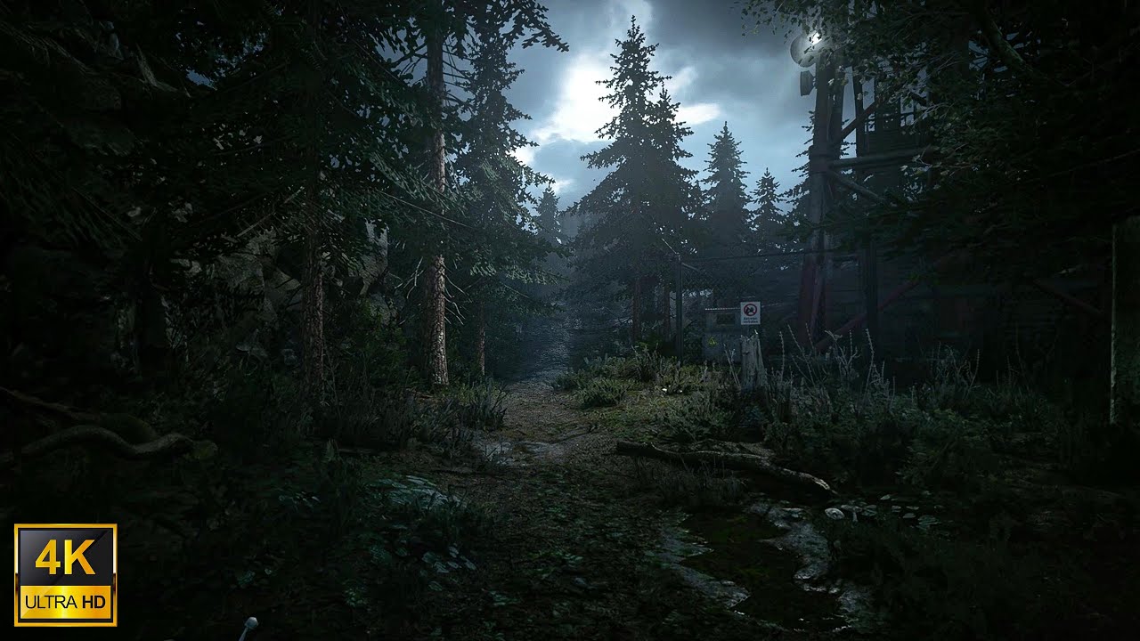 [4K] A Walk in the Forest | Berlin, Germany | HITMAN 3 | First Person ...