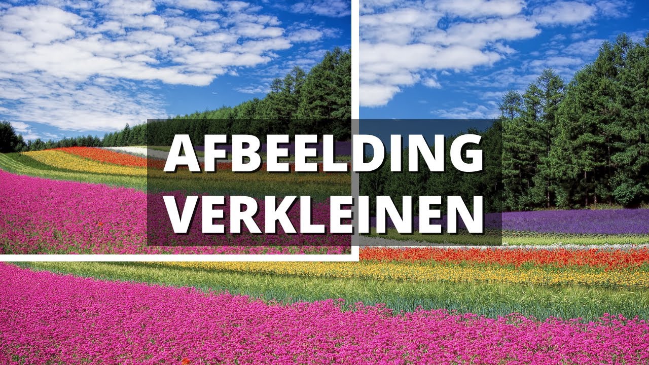 Afbeelding verkleinen op je computer met Paint - YouTube