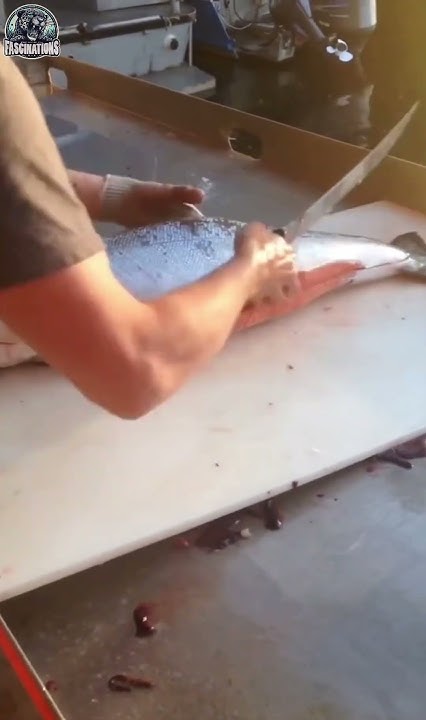 MASTER Fish Filleting Techniques You Never Knew Existed! - YouTube