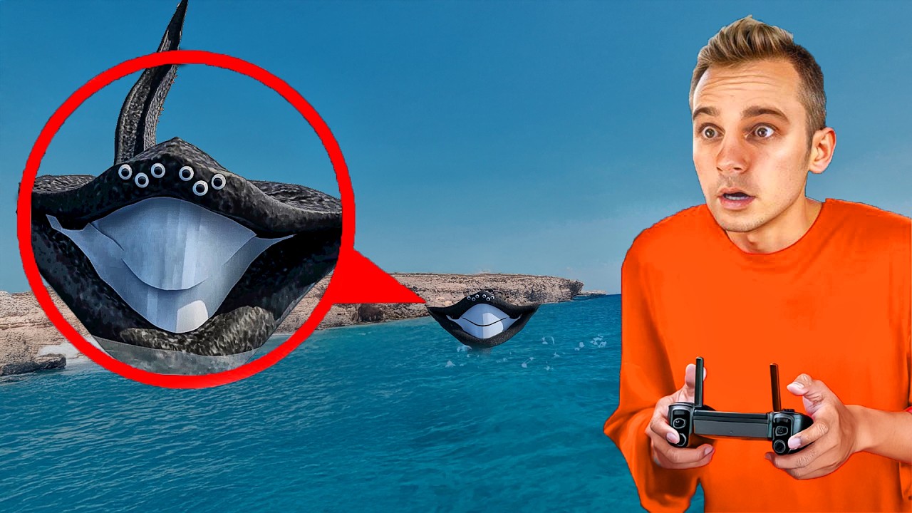 My Drone Captured Sea Eater, El Gran Maja and the Bloop in Real Life ...