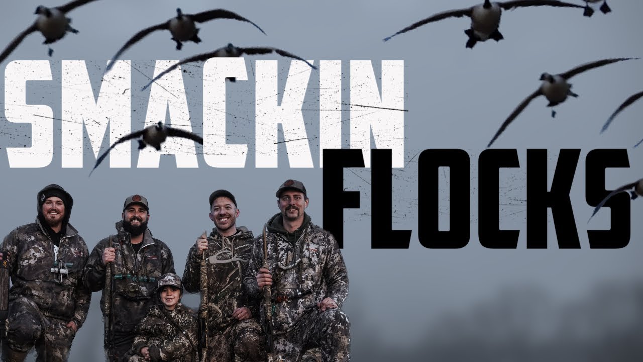 Smackin a HUGE FLOCK of Geese | Ohio Field Hunt 2023 - YouTube