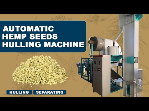 Automatic Hemp Seed Shelling Machine|Hemp Seeds Hulling Machine|Hemp ...