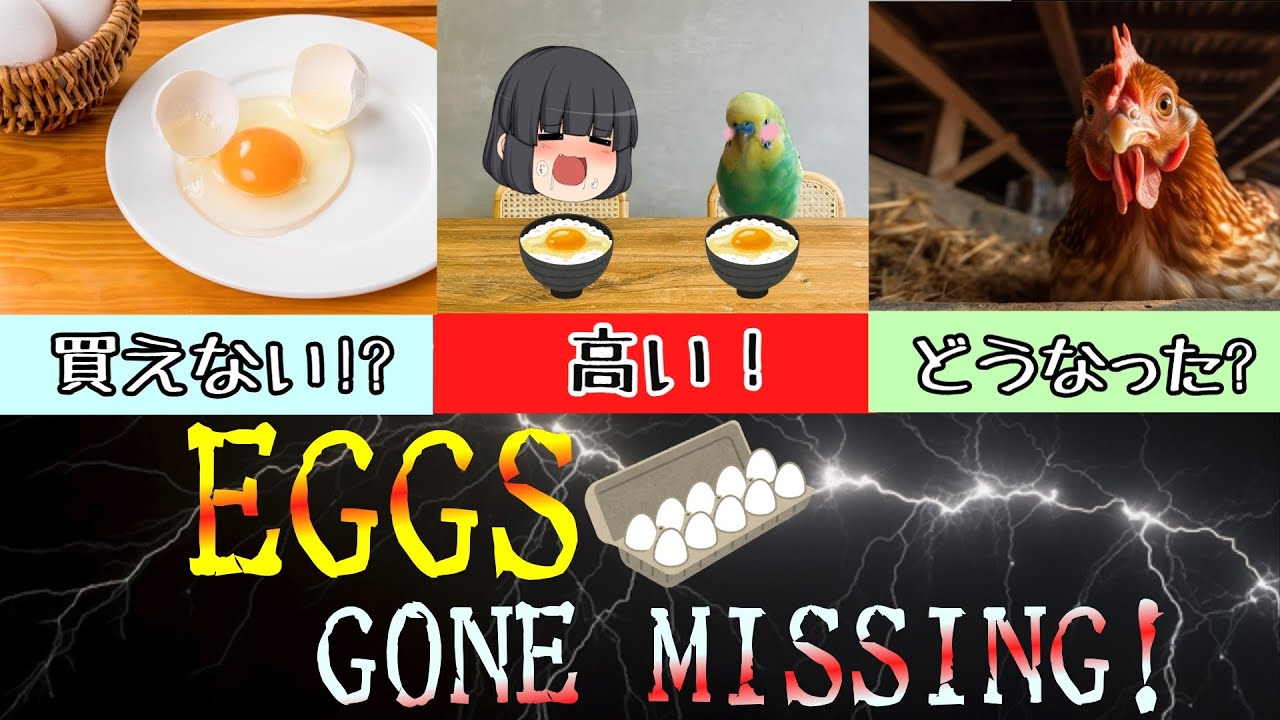 【卵がない！】EGGS GONE MISSING! Eggs are disappearing all over Japa/ついに庶民の味方の食材までも…（涙） - YouTube
