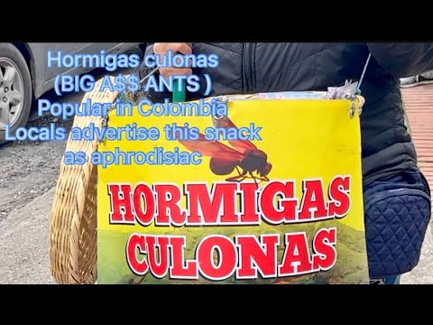 Hormigas culonas(BIG A$$ ANTS ) Colombian aphrodisiac & Cerro de ...