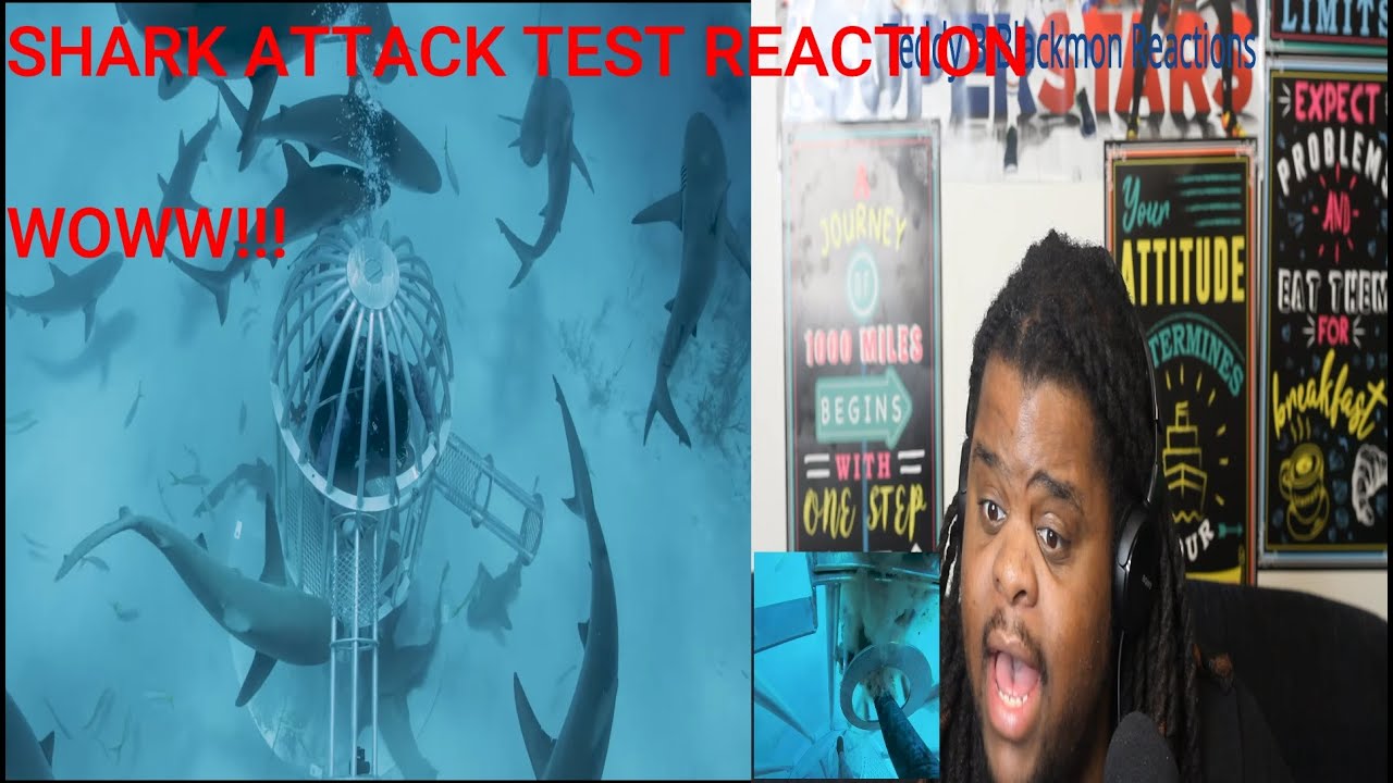 SHARK ATTACK TEST-HUMAN BLOOD VS FISH BLOOD REACTION - YouTube