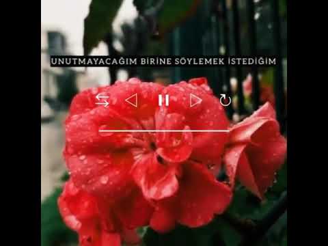 Zara (gönül dağı)