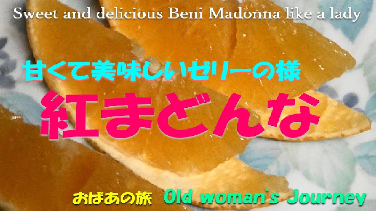 【貴婦人のよう 紅まどんな】甘くて、セリーの様なプルプル食感 ミカン オレンジ Beni Madonna Sweet, jelly-like ...