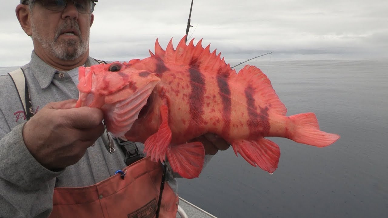 Coos Bay, OR Rockfish & Lingcod Fishing - YouTube