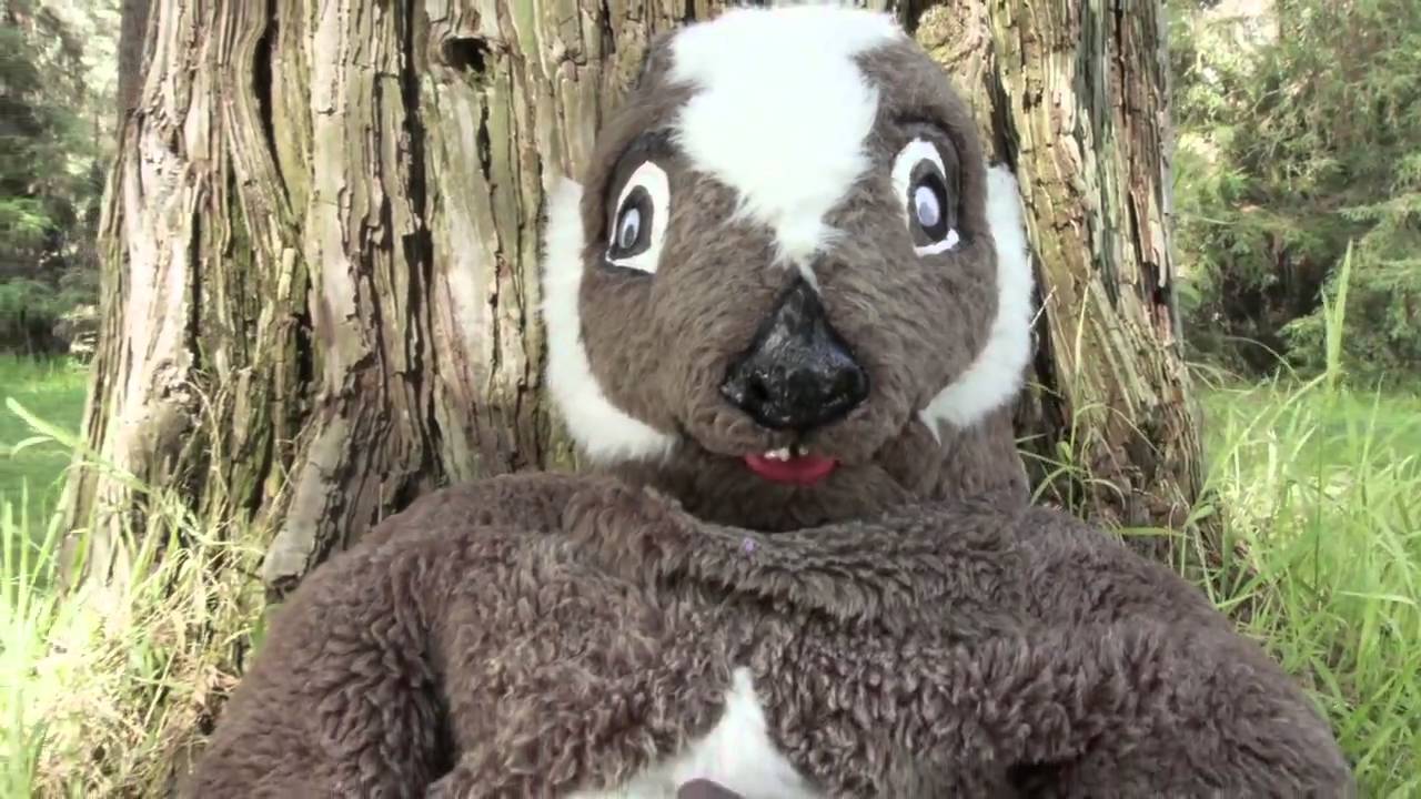 "The Burrow" - YouTube