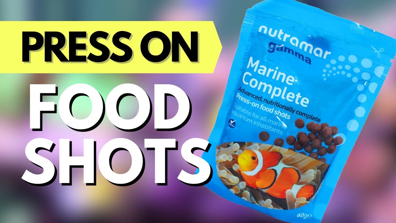 How Nutramar Fish Food Will Make Your Fish Unbelievably Happy! - YouTube