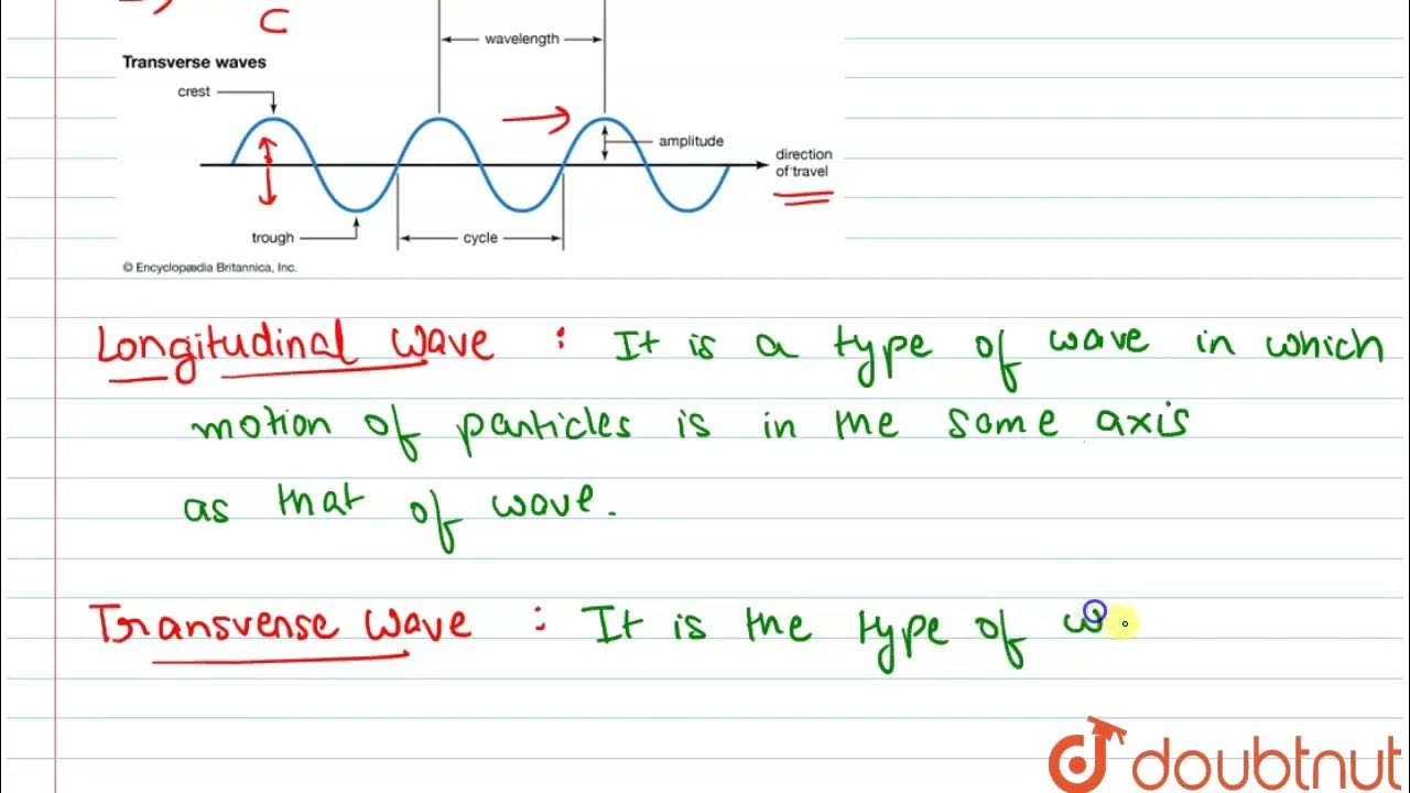 (a) What are longitudinal waves and transverse waves? Explain with the ...
