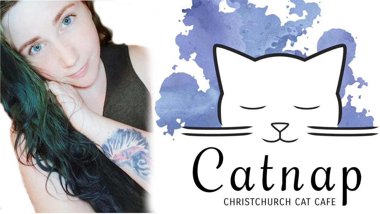 Let's Explore: Christchurch's first cat café! [CC] - YouTube