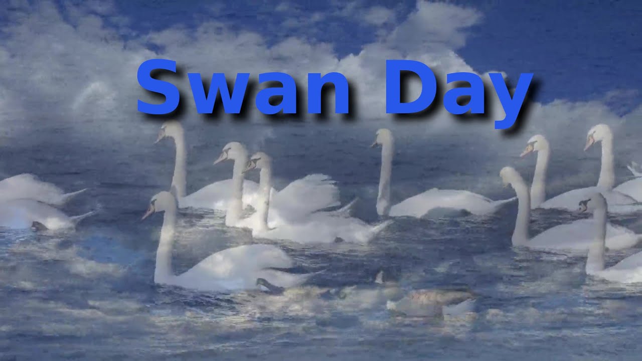 Philip Stewart Swan Day - YouTube