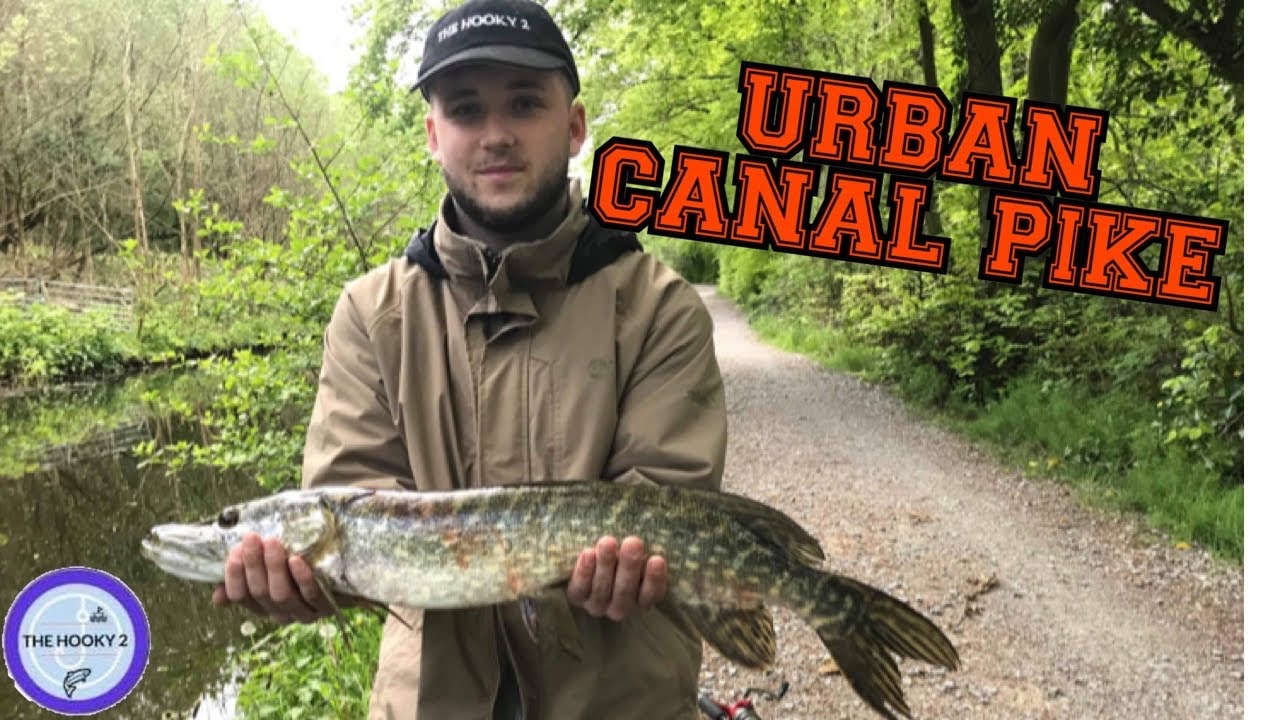 Fly Fishing For Pike On Canals at Ruby Hereford blog