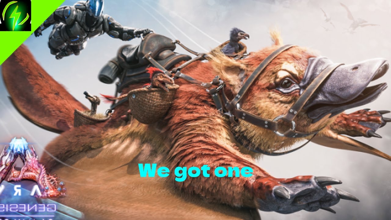 Taming a maywing! - YouTube