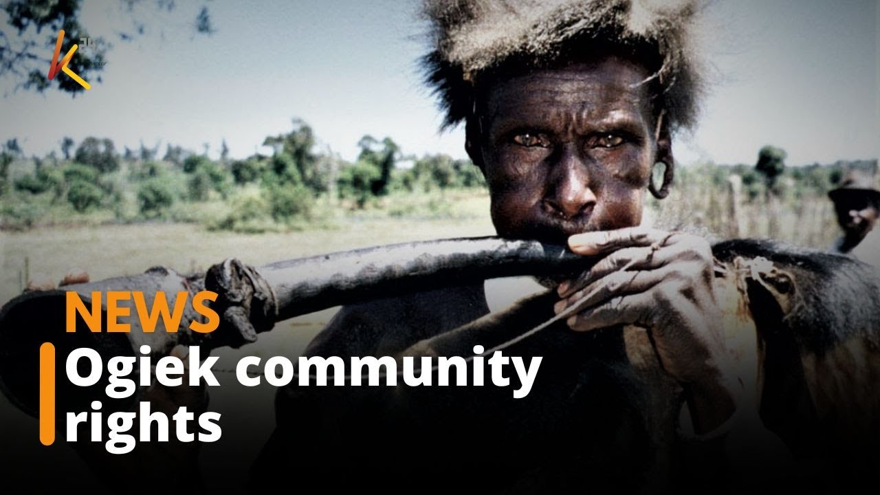 Kenyan government ordered to return to the indigenous Ogiek people ...