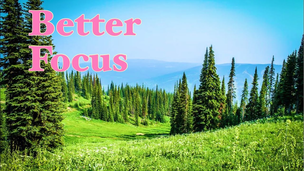 Meadow Sounds | Meditation, Relaxation, Study Aid - YouTube