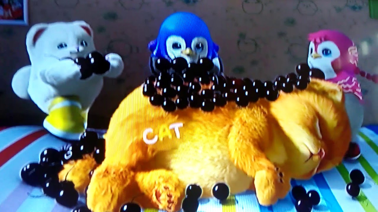 badanamu ( fat cat mat ) - YouTube