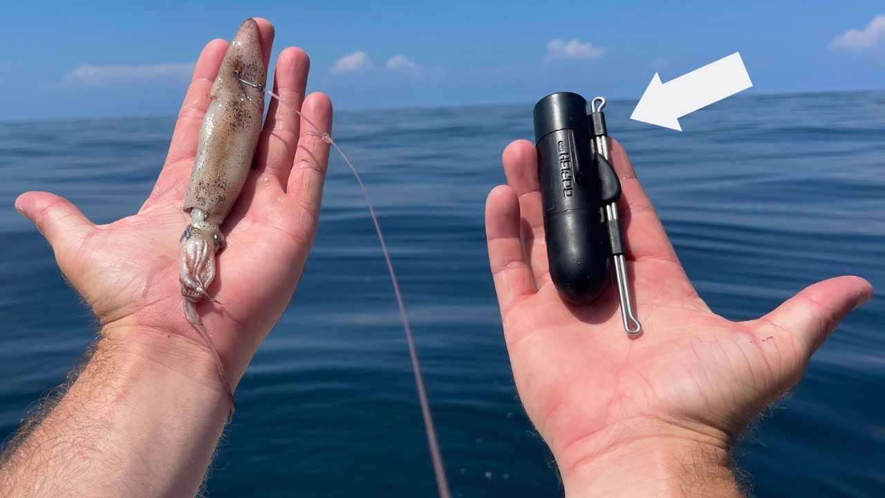 CRAZY Fish Feeding Frenzy Captured On This Underwater Camera! *Catch ...