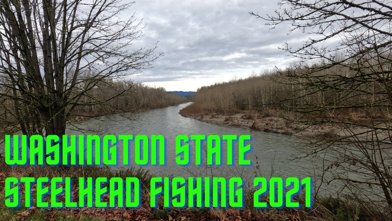First STEELHEAD Session of 2021! (Washington State Fishing) - YouTube