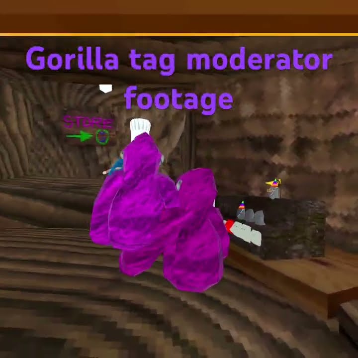 I found a gorilla tag moderator #gorillatag - YouTube